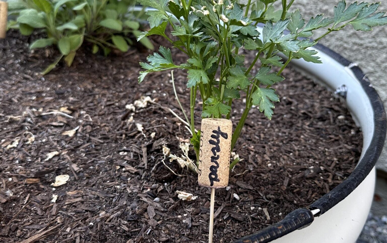 Wine Cork Garden Markers - Bogle Family Vineyards